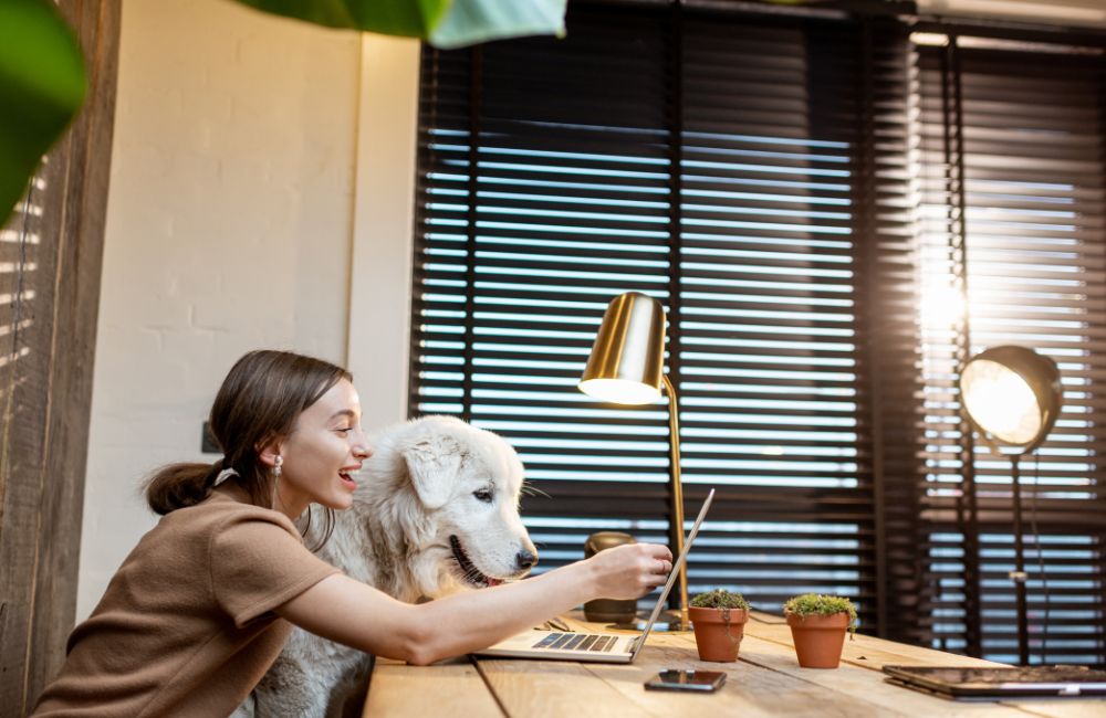 7 pravidiel, ako správne kŕmiť psa - PEGRA.SK