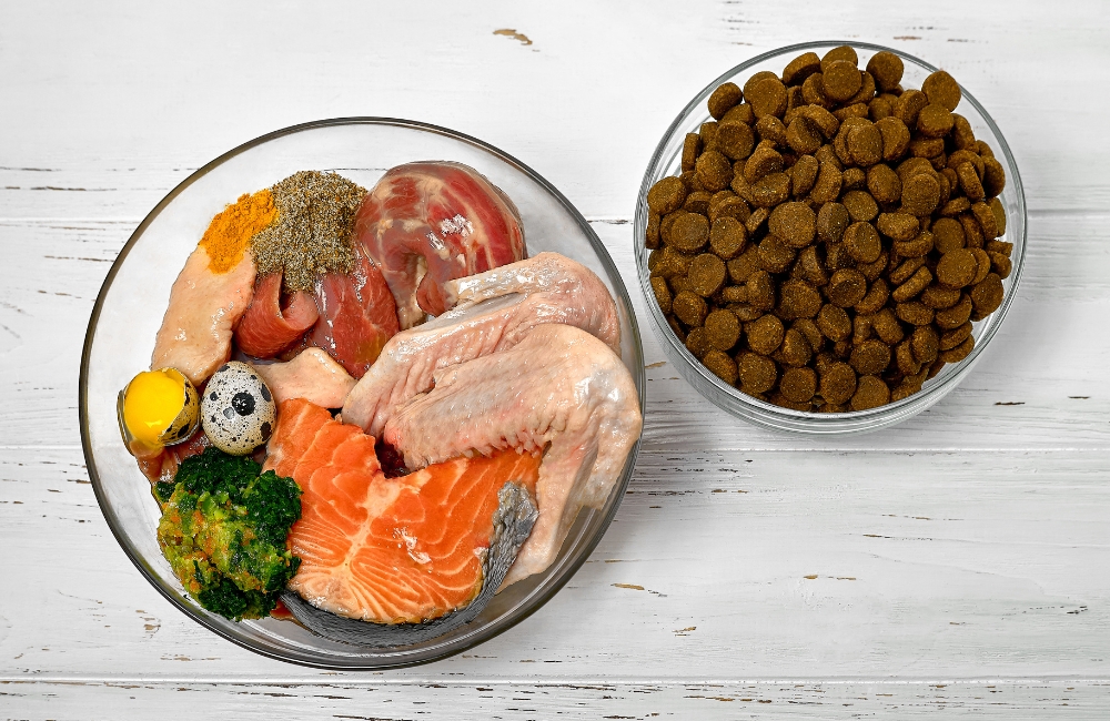 BARF alebo granule? Prečítajte si výhody a nevýhody týchto spôsobov ...