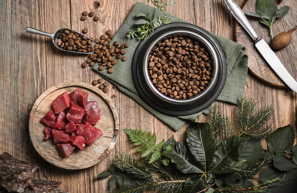 Mäso v strave pre psa. Prečo je dôležité? - PEGRA.SK