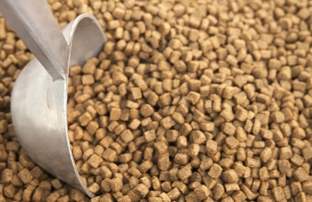 Ako sa vyrábajú kvalitné granule pre psov? - PEGRA.SK