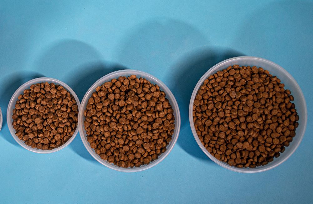 Zmena krmiva: Ako prejsť na nové granule? - PEGRA.SK